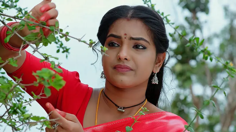 Watch Kalyani TV Serial 28th December 2024 Full Episode 238 Online on ZEE5