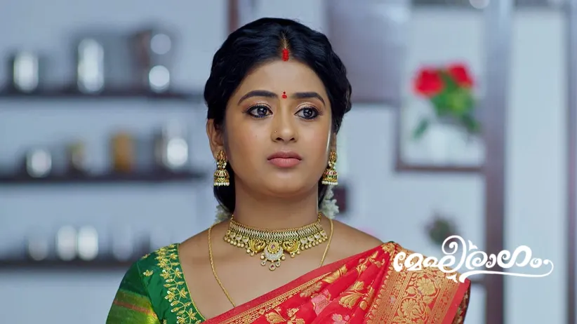 Watch Megharagam TV Serial 16th January 2025 Full Episode 547 Online on ...