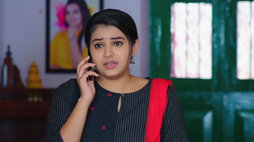 Watch Geetha Govinda TV Serial 3rd February 2025 Full Episode 29 Online ...