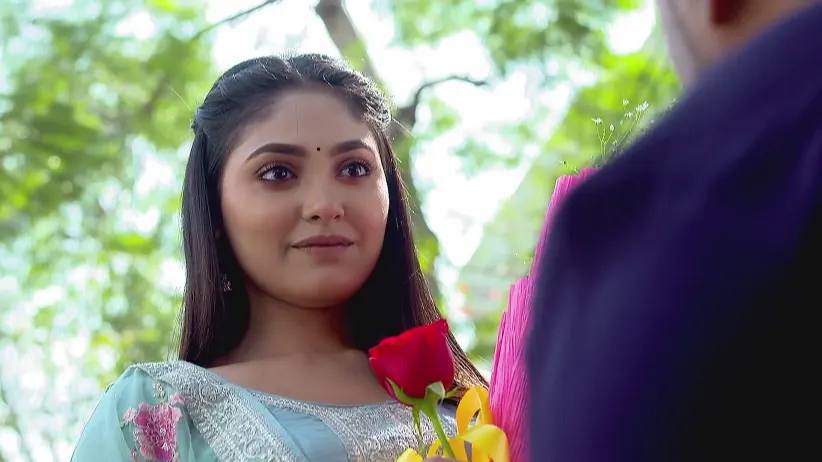 Watch Jagadhatri TV Serial 10th February 2025 Full Episode 895 Online ...