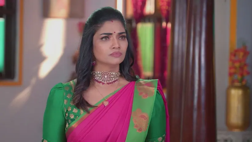 Watch Karthigai Deepam TV Serial 13th February 2025 Full Episode 741 ...