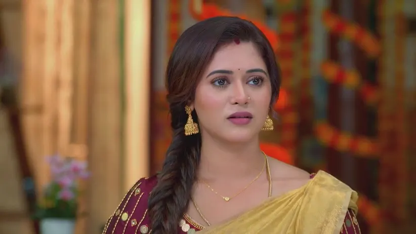 Watch Sandhya Raagam TV Serial 14th February 2025 Full Episode 454 ...