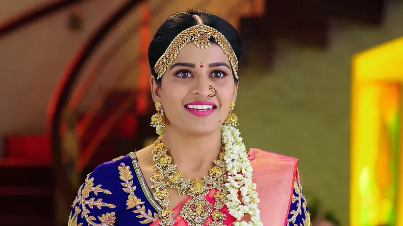 Watch Geetha Govinda TV Serial 1st March 2025 Full Episode 55 Online on ...