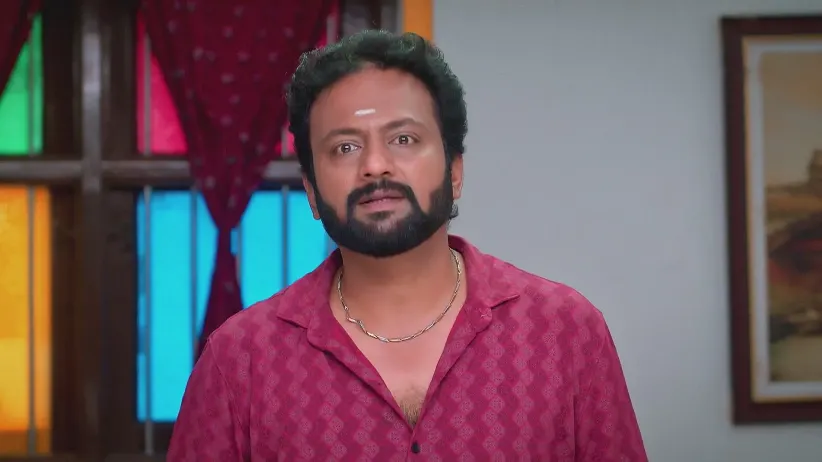 Watch Karthigai Deepam TV Serial 17th June 2025 Full Episode 862 Online ...