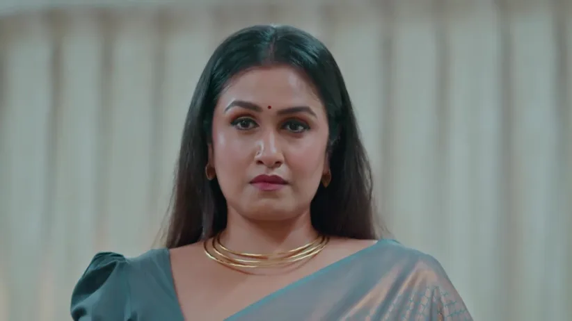 Watch KrishnaGadha TV Serial 12th October 2025 Full Episode 87 Online ...