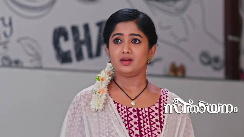 Watch Seethayanam TV Serial 15th October 2025 Full Episode 84 Online on ...