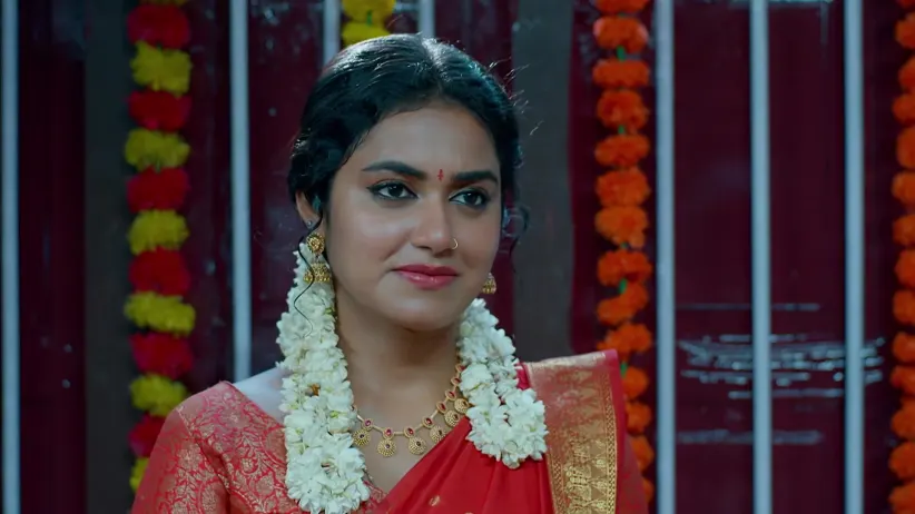 Watch Snehapoorvam Shyama TV Serial 23rd October 2025 Full Episode 349 ...