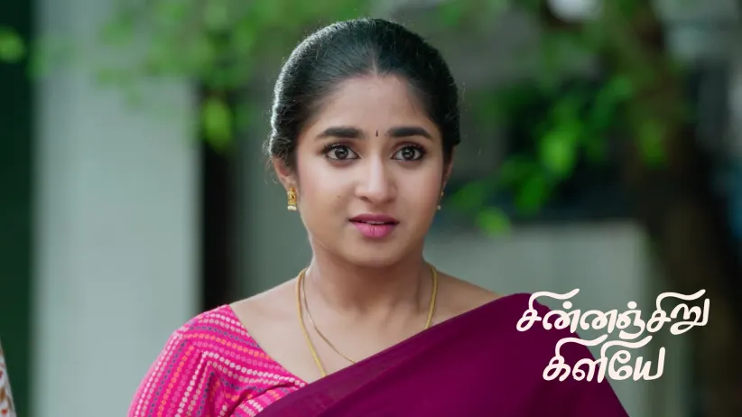 Watch Chinnan Siru Kiliye TV Serial 11th December 2025 Full Episode 101 ...