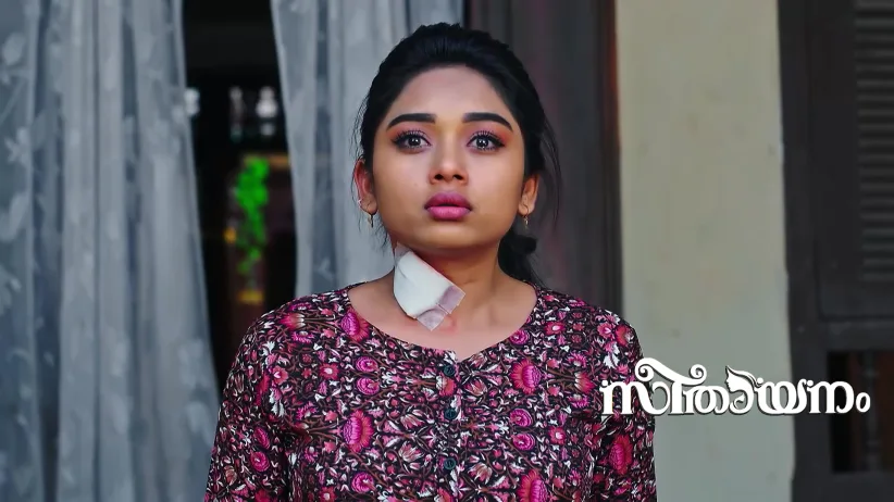 Watch Seethayanam TV Serial 30th December 2025 Full Episode 149 Online ...