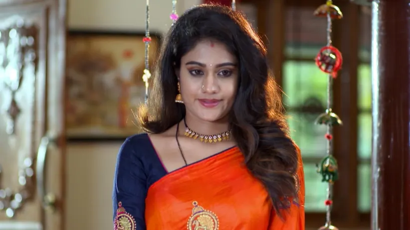 Watch Radhamma Kuthuru TV Serial 19th August 2020 Full Episode 240 ...