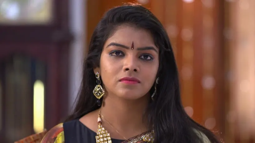 Watch Chembarathi TV Serial 29th January 2020 Full Episode 378 Online ...