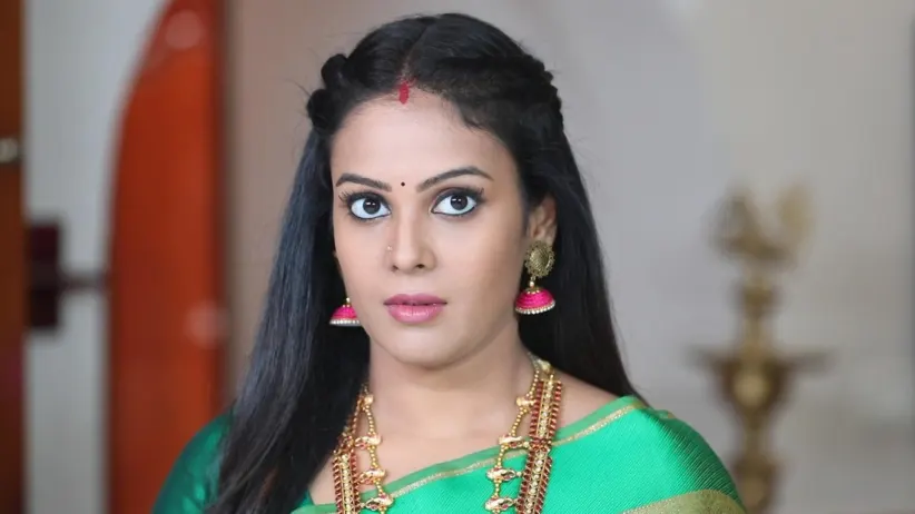 Watch Rettai Roja TV Serial 26th December 2020 Full Episode 285 Online ...